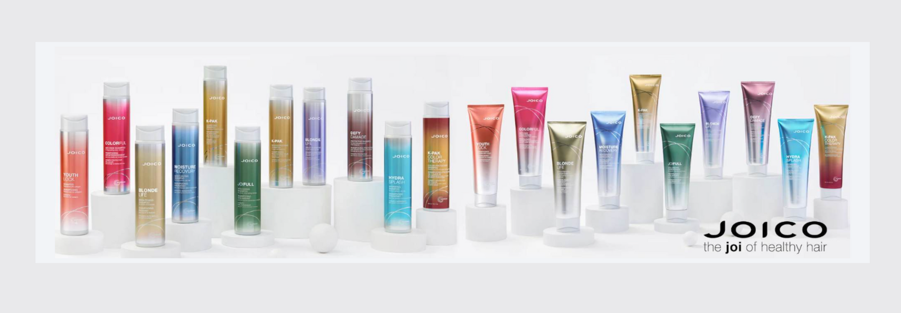 Joico — The Frizz